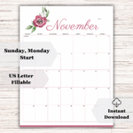 EDITABLE November 2024 Calendar, Stylish and Elegant - Printable Works