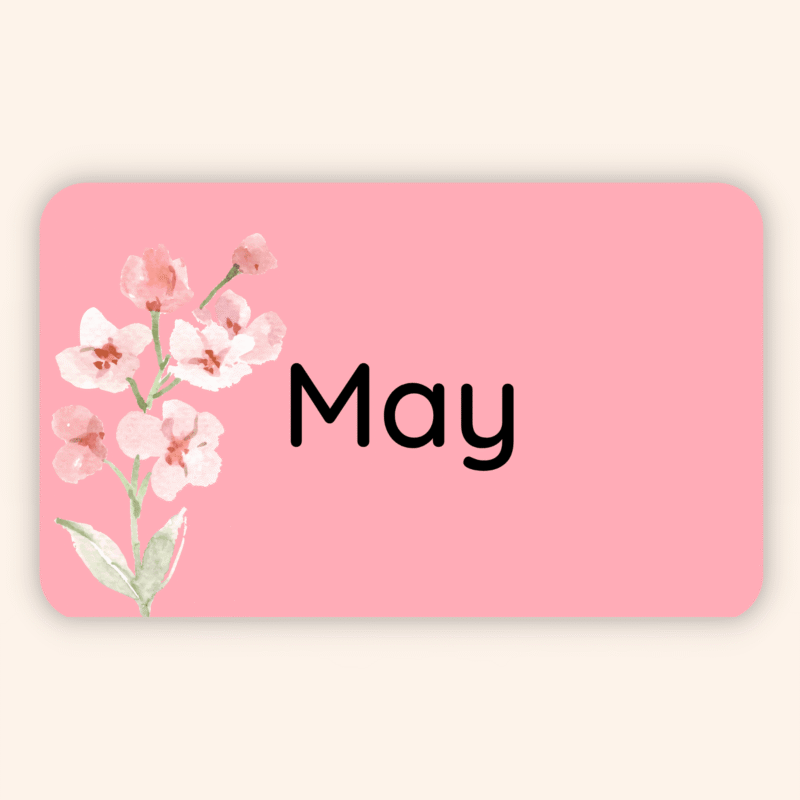 Months Of The Year Flash Cards - Printable Works